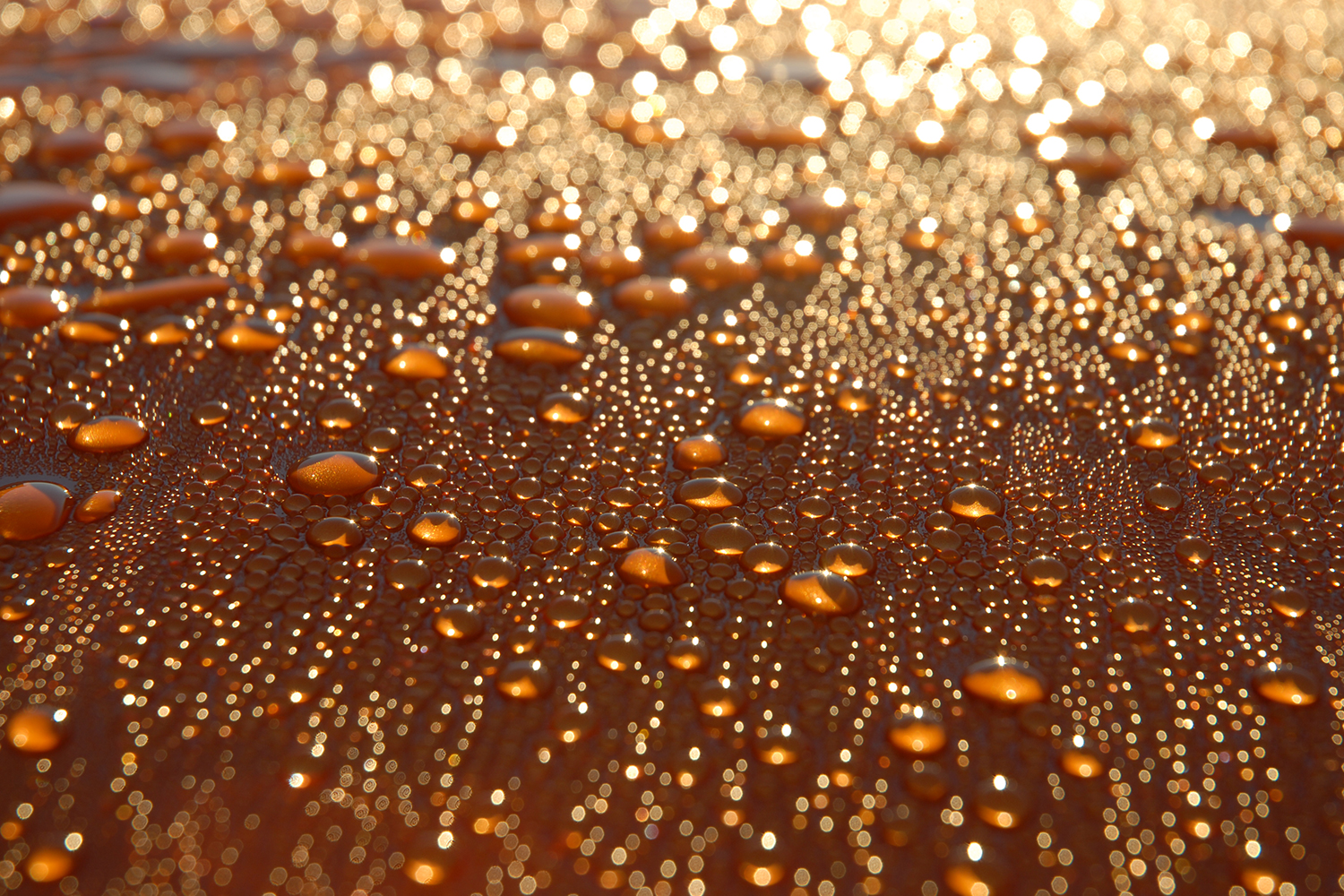 Coatings - Zirconite Coatings